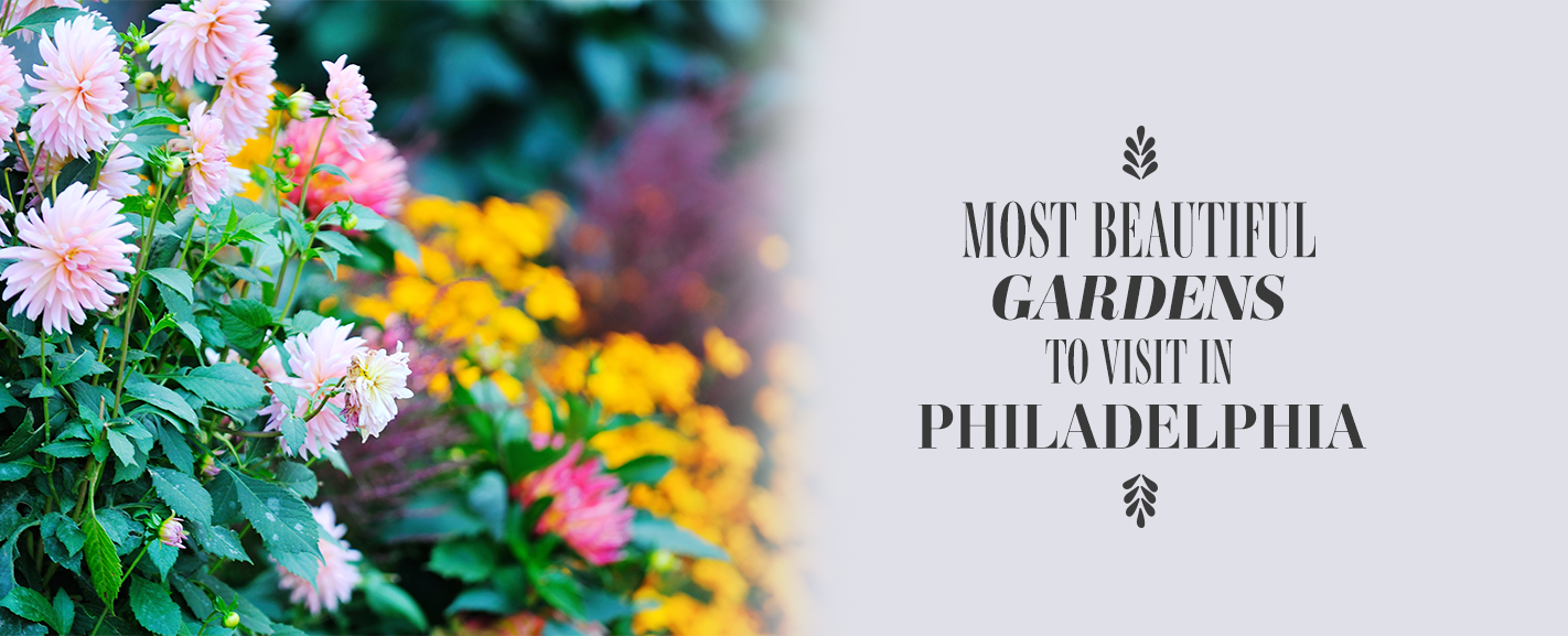 Most Beautiful Gardens in Philadelphia | Ode à la Rose