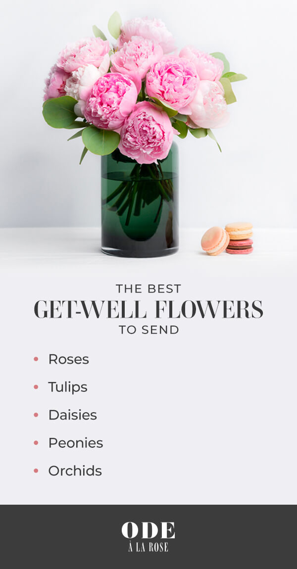 Should You Send Flowers After Surgery Ode La Rose should-you-send-flowers-after-surgery-ode-la-rose