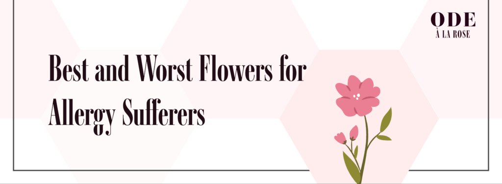 Best & Worst Flowers for People with Allergies | Updated