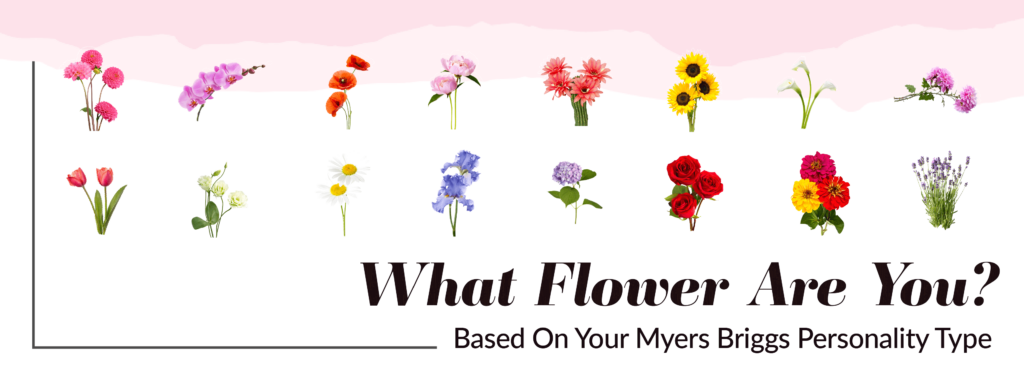 Myers Briggs Personality Type Flowers | Which Flower Are You?