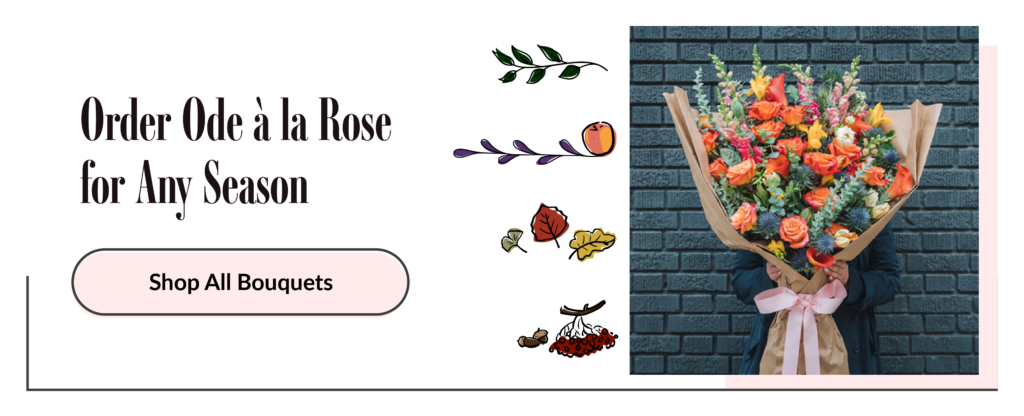 What Flowers Are In Season? A Seasonal Flower Guide