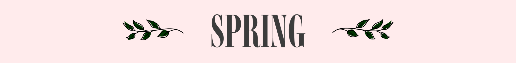 What Flowers Are In Season? A Seasonal Flower Guide