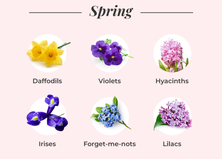 What Flowers Are In Season? A Seasonal Flower Guide