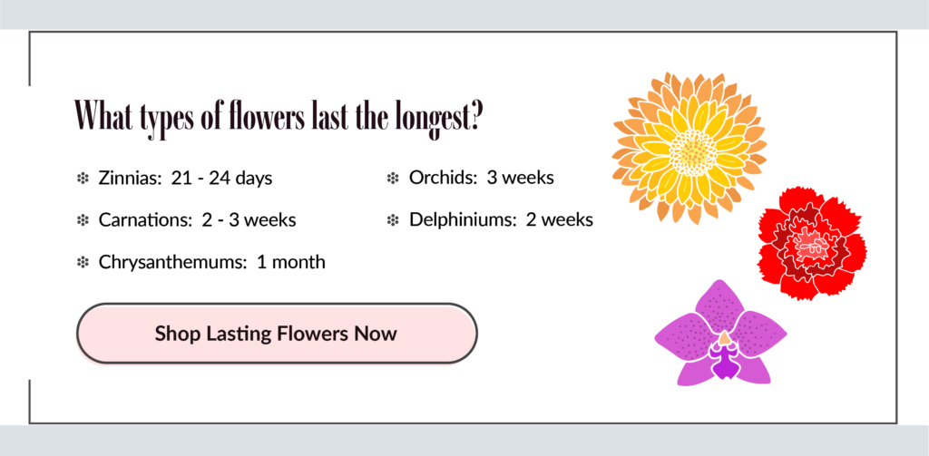 How Long do Flowers Last? | Comprehensive Guide | Ode à la Rose