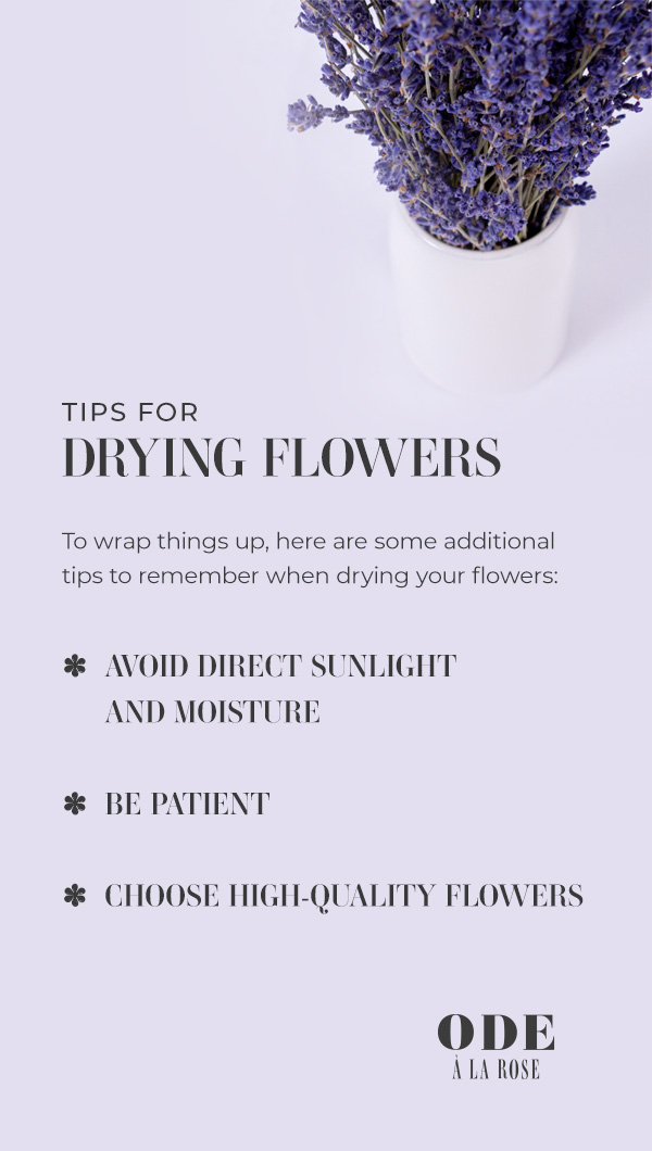 Your Foolproof Guide to Drying Flowers | Ode à la Rose