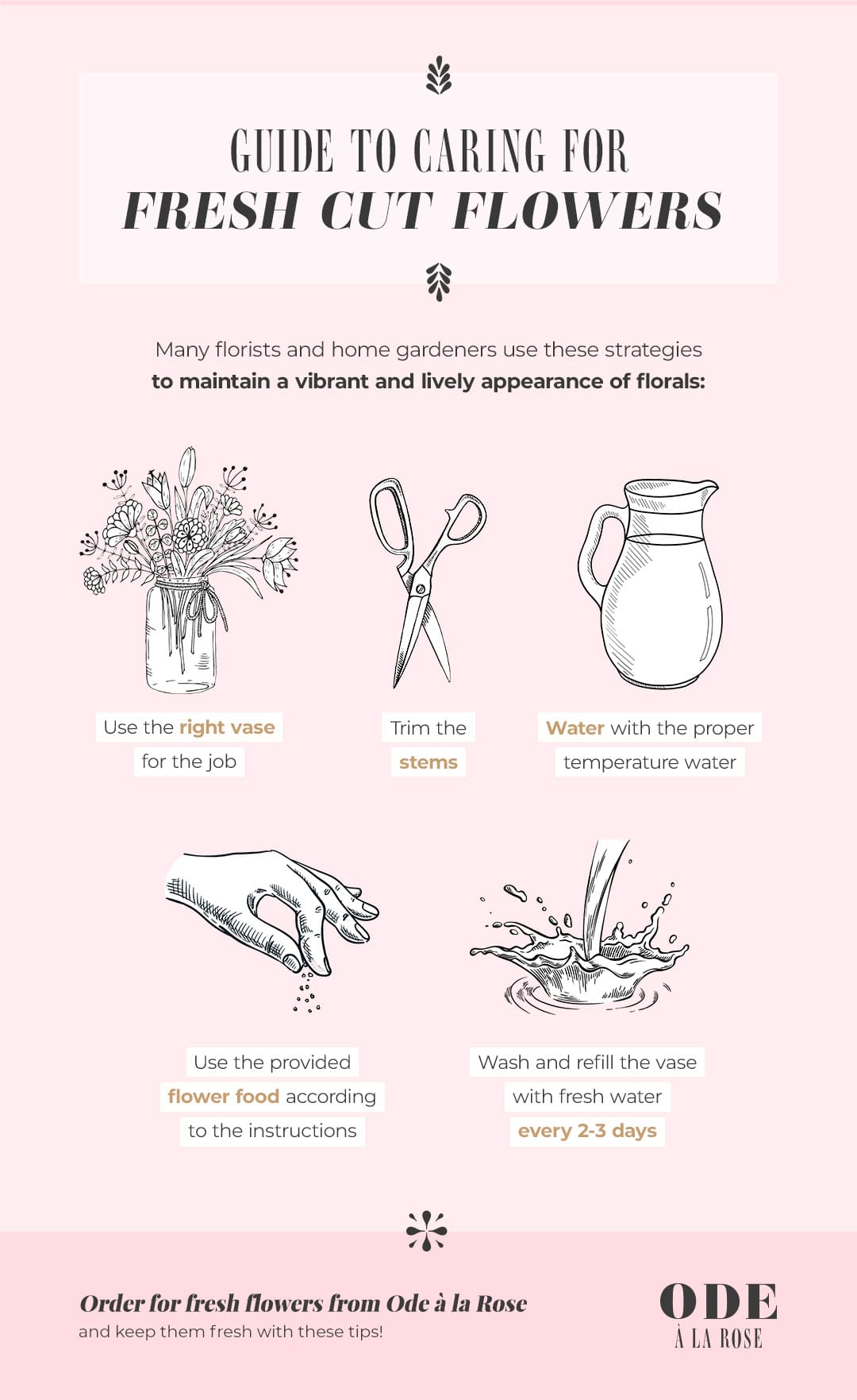 How to Water Fresh Cut Flowers | Ode à la Rose