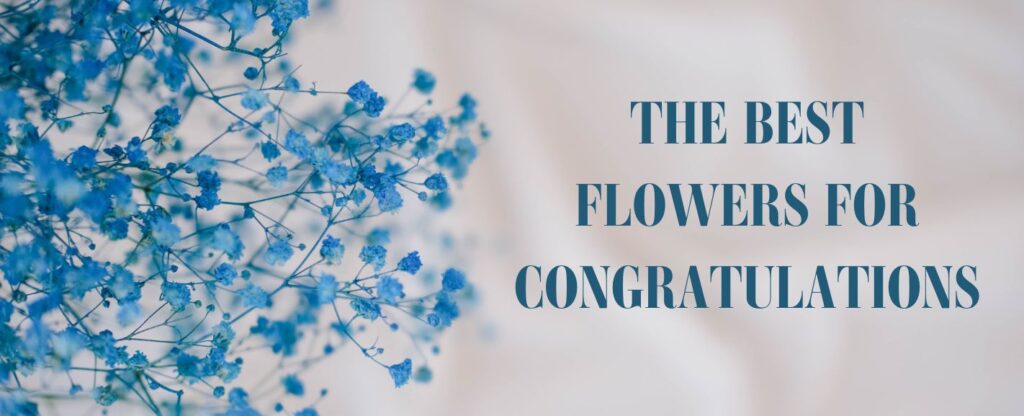 The Best Flowers for Congratulations | Ode à la Rose
