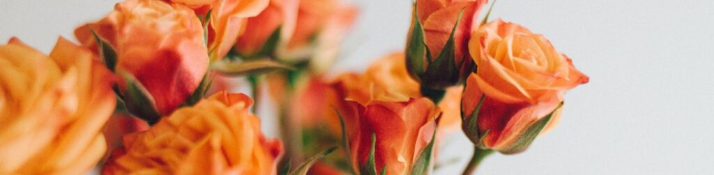 The Best Flowers for Congratulations | Ode à la Rose