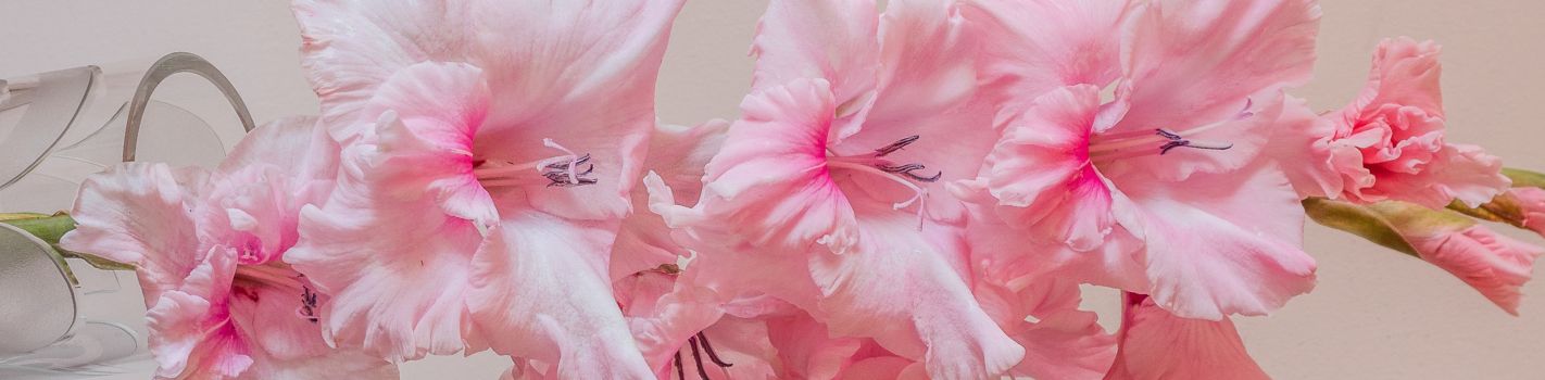 10 Best Get Well Soon Flowers | Ode a la Rose