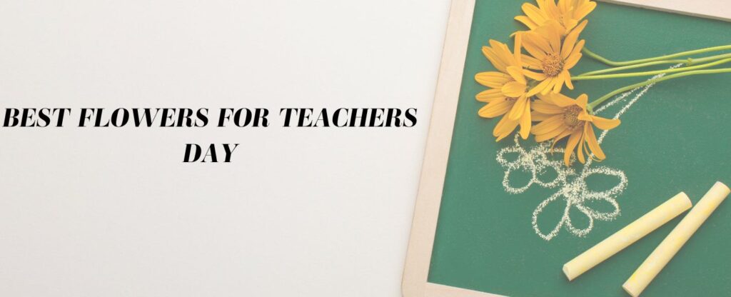 12 Best Flowers for Teacher’s Day | Ode a la Rose