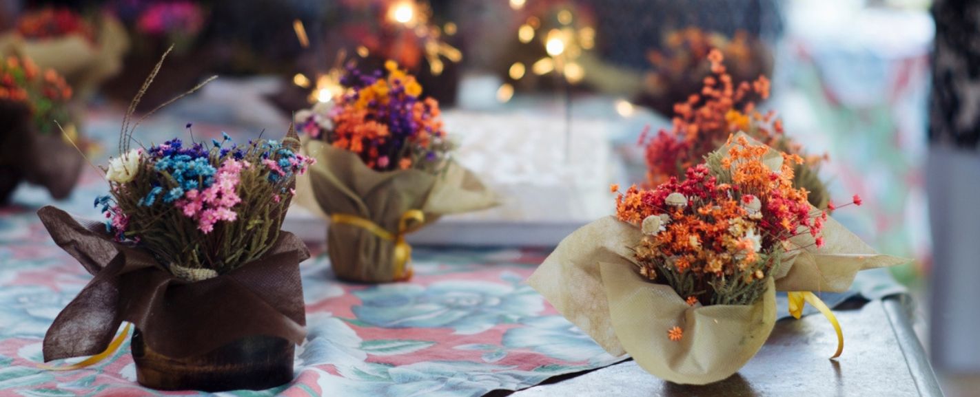 Flowers in Season in January | A Complete Guide