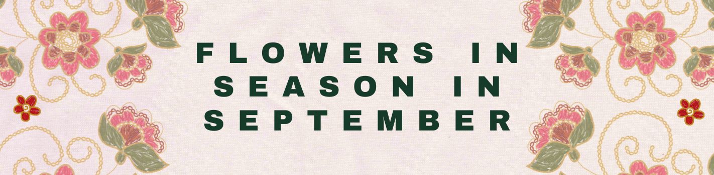 Flowers in Season in November: Flowers Thriving in Late Autumn