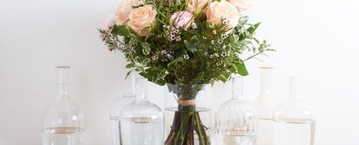 Discover the Vibrant Flowers in Season in September