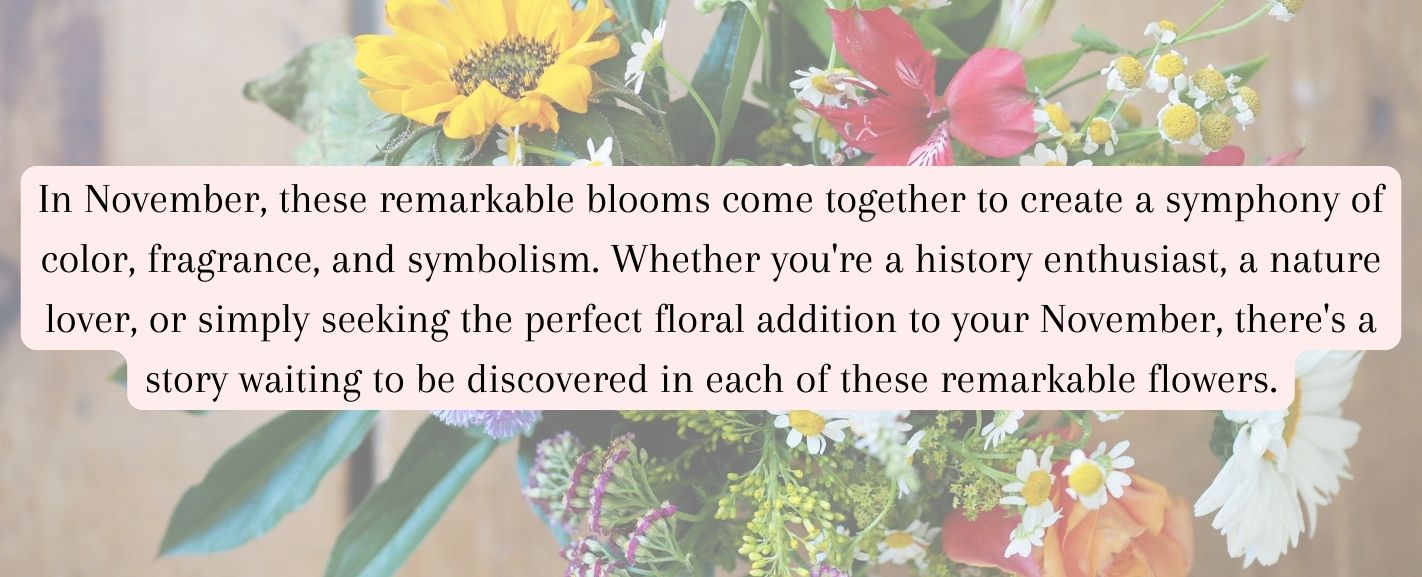 Flowers in Season in November: Flowers Thriving in Late Autumn