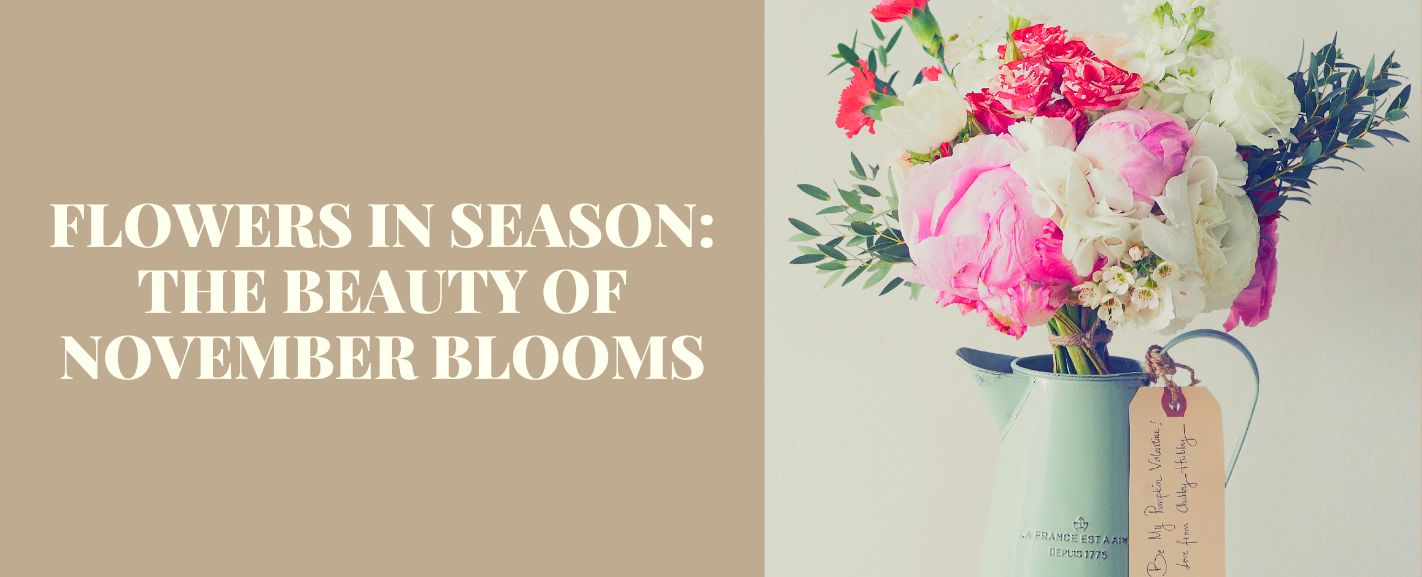 Flowers in Season in November: Flowers Thriving in Late Autumn