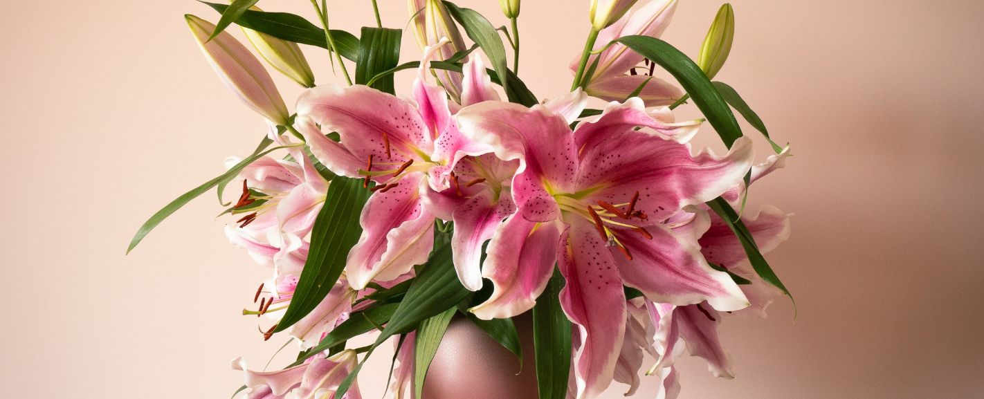 Flowers in Season in February | A Comprehensive Guide