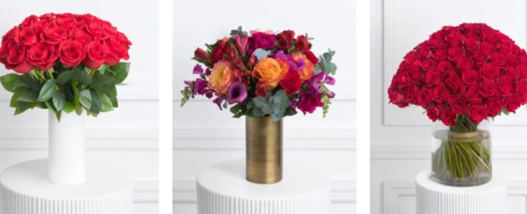 March Flowers in Season | A Complete Guide