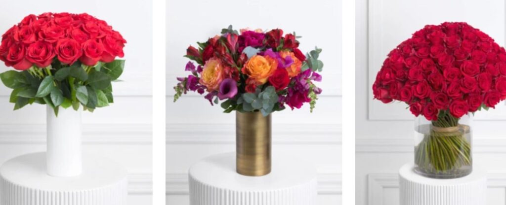 March Flowers in Season | A Complete Guide