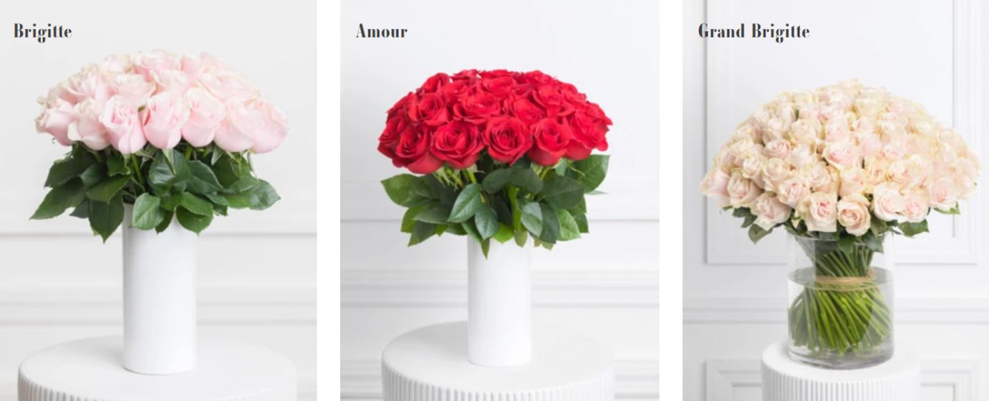 Top Flowers in Season in December: Discover The Winter Blooms