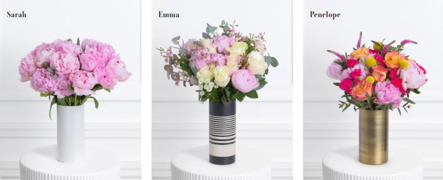 Top Flowers in Season in December: Discover The Winter Blooms