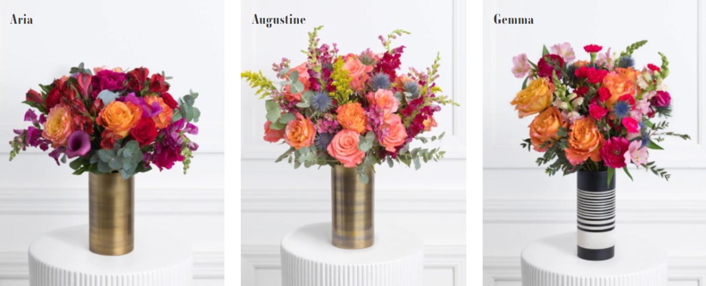 Top Flowers in Season in December: Discover The Winter Blooms