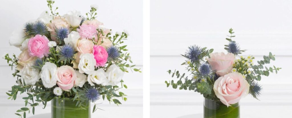 Top Flowers in Season in December: Discover The Winter Blooms