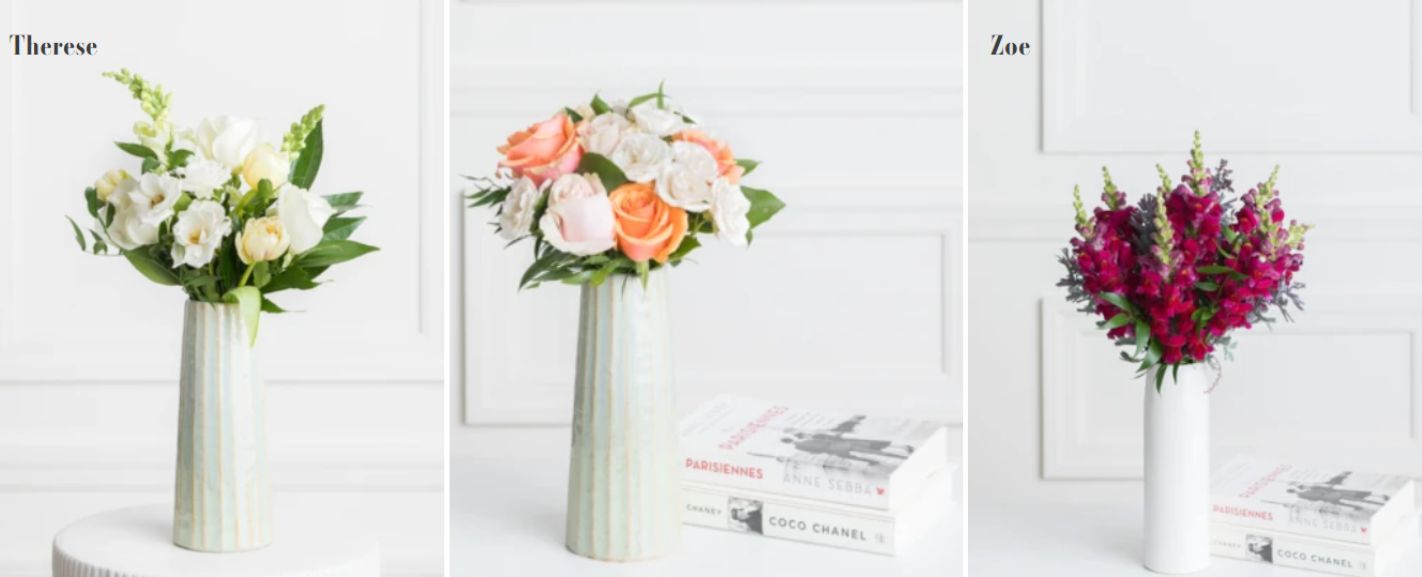 Top Flowers in Season in December: Discover The Winter Blooms