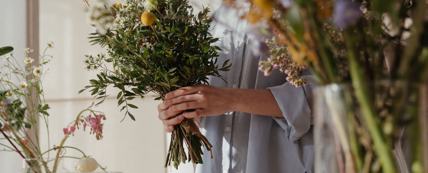 Top Flowers in Season in December: Discover The Winter Blooms