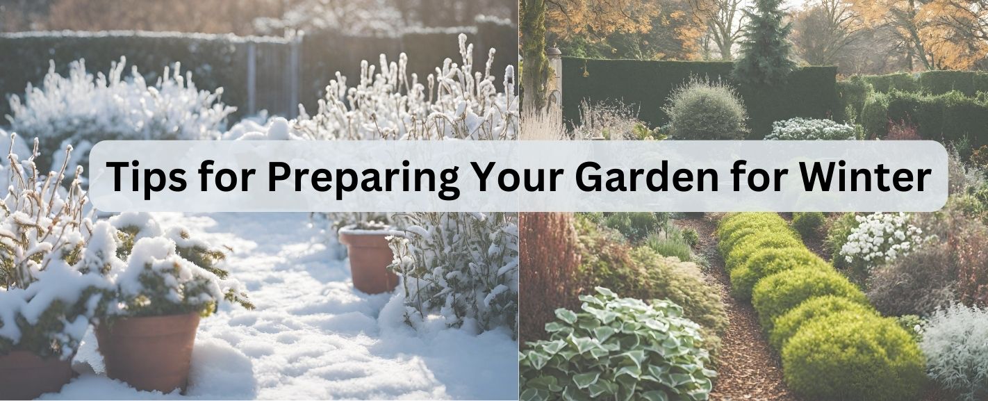 6+ Tips for Preparing Your Garden for Winter: Essential Guide