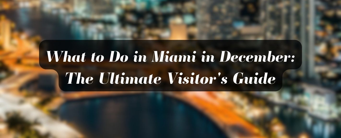 What to Do in Miami in December: The Ultimate Visitor's Guide