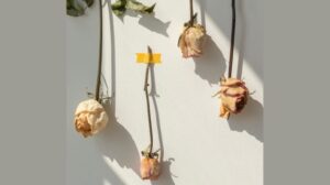 How to Dry Roses and Keep Their Color: Easy Step-by-Step Guide