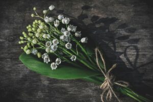 May Birth Flowers: Lily of the Valley and Hawthorn Symbolism