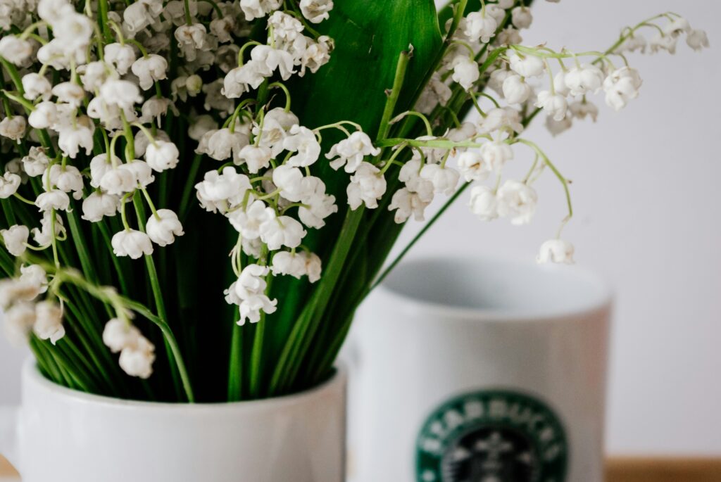 May Birth Flowers: Lily of the Valley and Hawthorn Symbolism