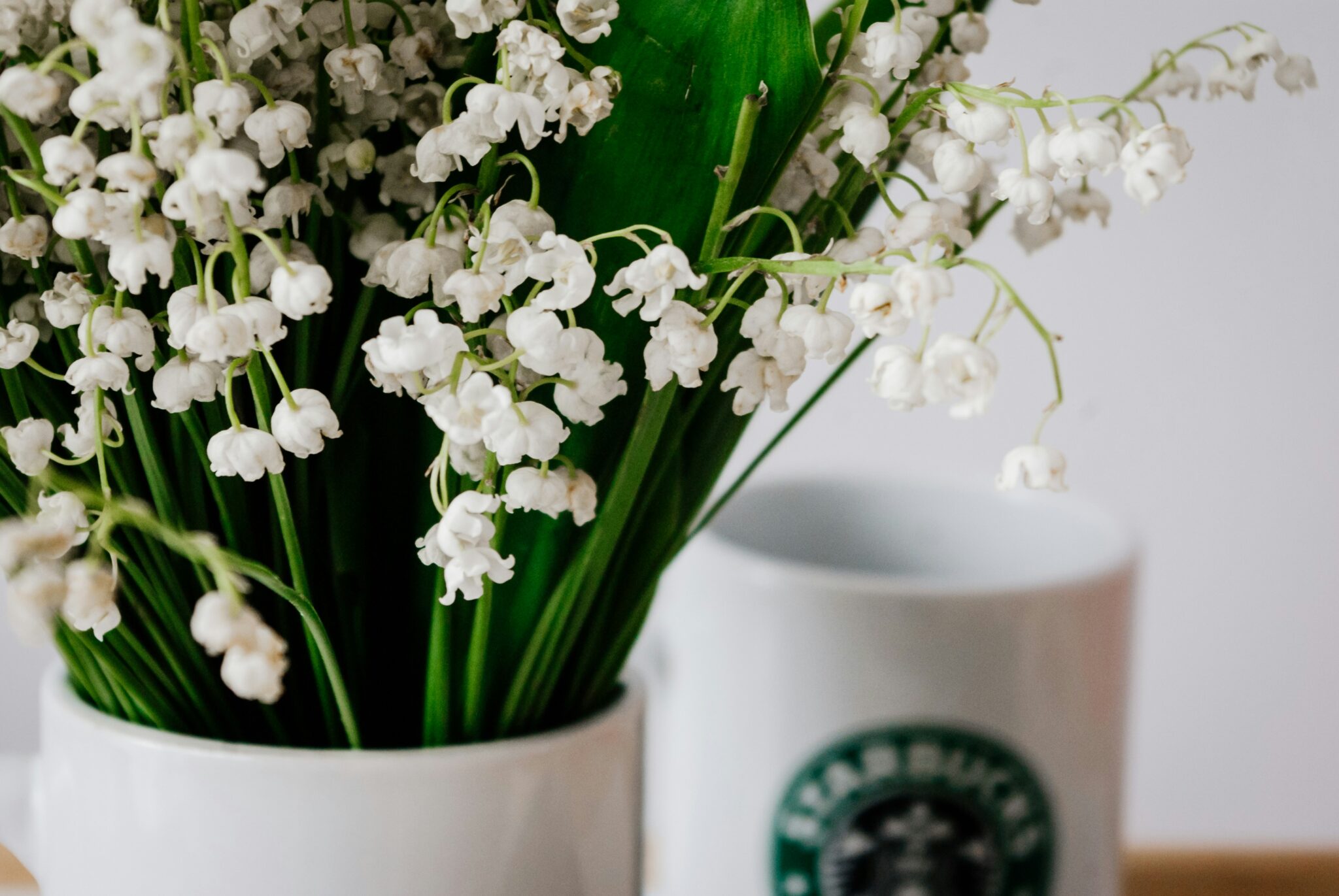 May Birth Flowers: Lily of the Valley and Hawthorn Symbolism