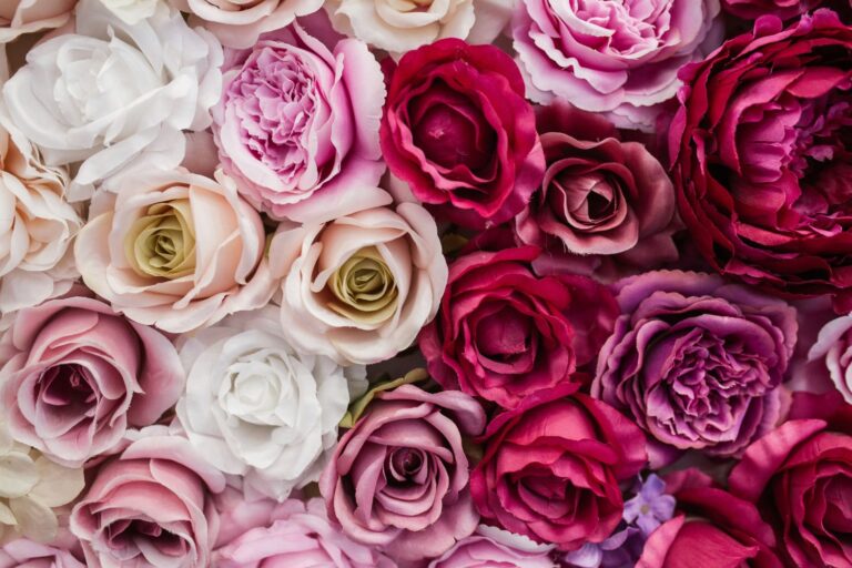 June Birth Flowers: Rose and Honeysuckle Symbolism
