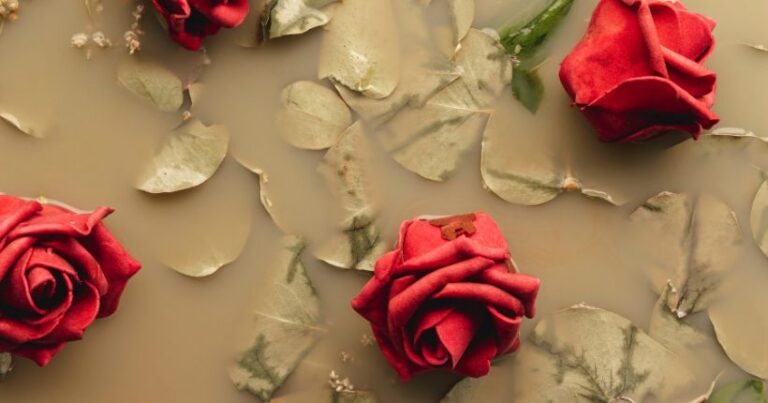Roses Meaning: Discover the Symbolism Behind Every Rose Color