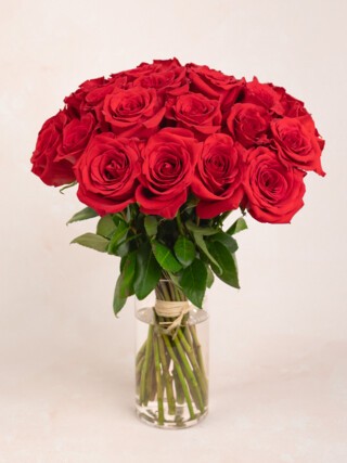 Flowers for Aries: Symbols, Types and Bouquet Guide