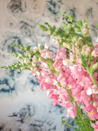 Flowers for Libra: Symbols, Types and Bouquet Guide