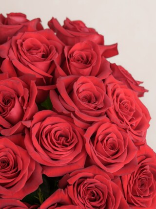 Flowers for Scorpio: Symbols, Types and Bouquet Guide