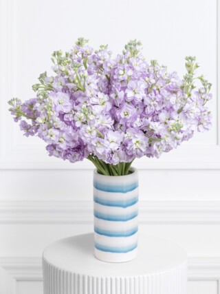 Flowers for Libra: Symbols, Types and Bouquet Guide