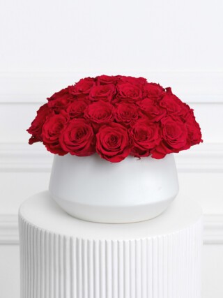 Preserved & Forever Roses | Same or Next Day Delivery