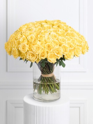 100 Roses For Delivery | Red, White & Pink | Ode à la Rose