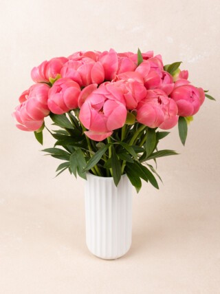 Send a Bouquet of Peonies - Same Day Peony Flower Delivery