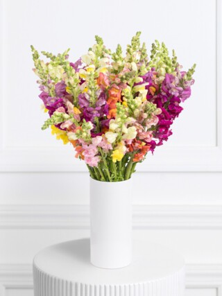 Los Angeles Same Day Flower Delivery - Local LA Florist Shop