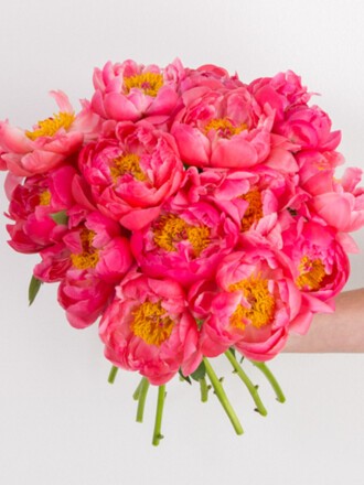 Send a Bouquet of Peonies - Same Day Peony Flower Delivery