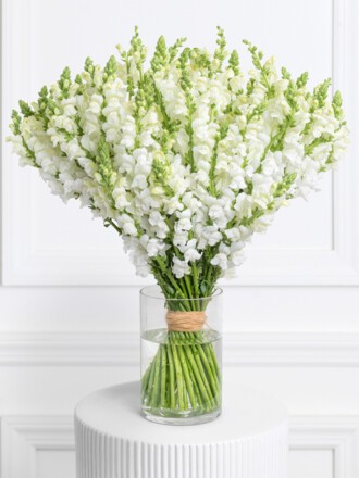 Send a Bouquet of Peonies - Same Day Peony Flower Delivery