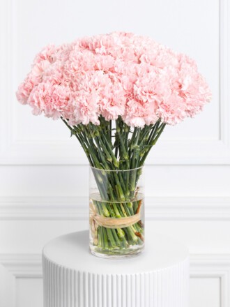 Flowers for Libra: Symbols, Types and Bouquet Guide