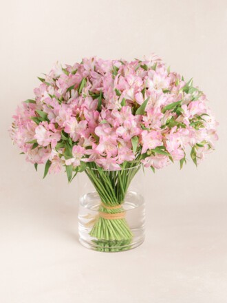 Flowers for Cancer: Symbols, Types and Bouquet Guide