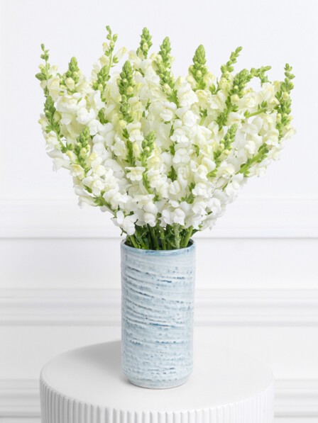 Flower and Champagne Delivery - Elegant Gifts for Every Occasion