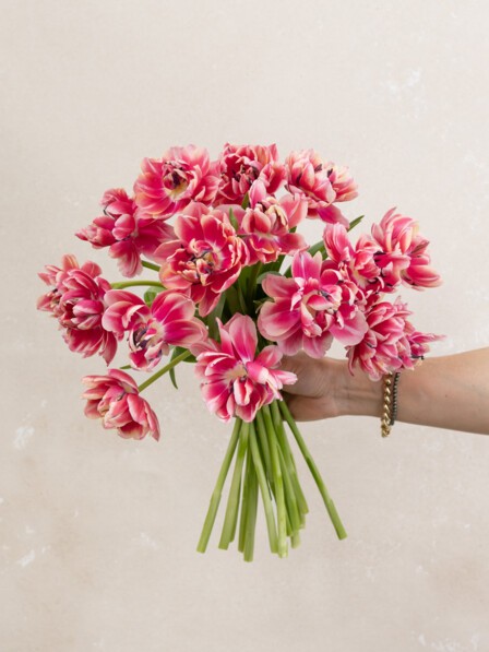 Tulip Bouquet Delivery | Send a Bouquet of Tulips